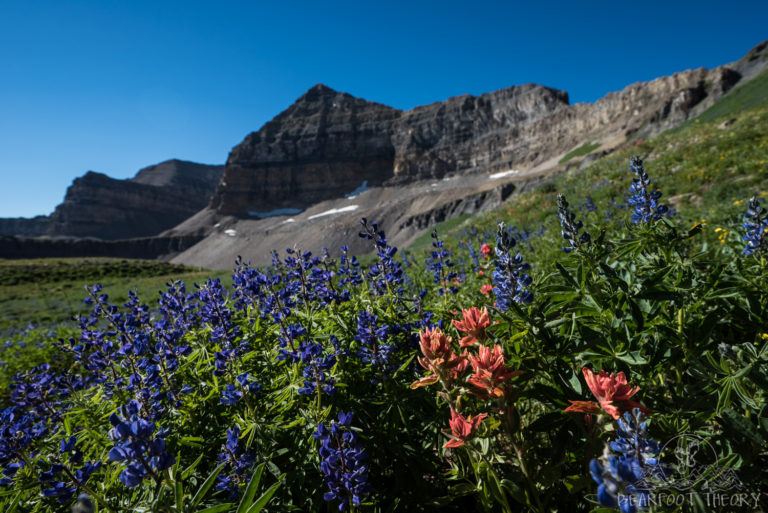 Hiking Mount Timpanogos: A Timpooneke Trail Guide – Bearfoot Theory