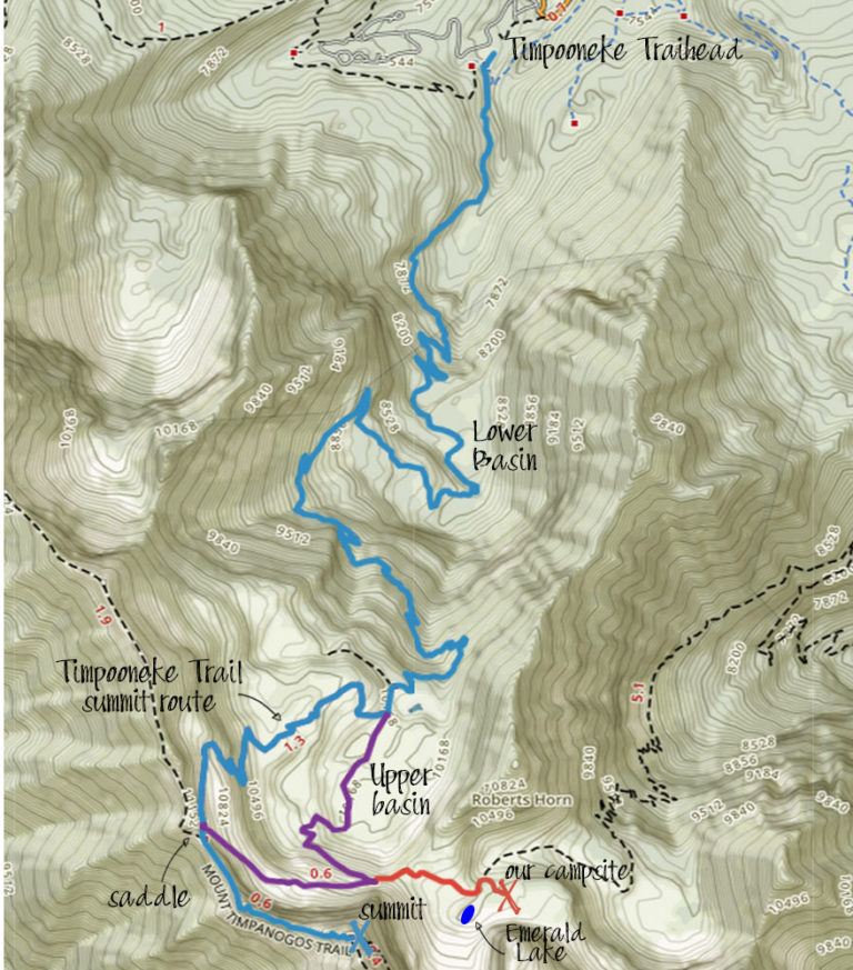 Mount Timpanogos Hiking Guide via the Timpooneke Trail – Bearfoot Theory