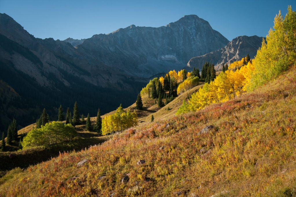 Ultimate 4-Day Colorado Fall Foliage Road Trip Itinerary – Bearfoot Theory