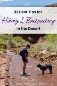 32 Essential Desert Hiking and Backpacking Tips – Bearfoot Theory
