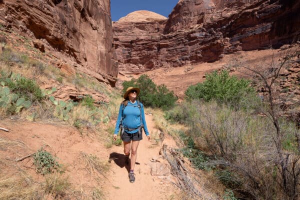 32 Essential Desert Hiking and Backpacking Tips – Bearfoot Theory
