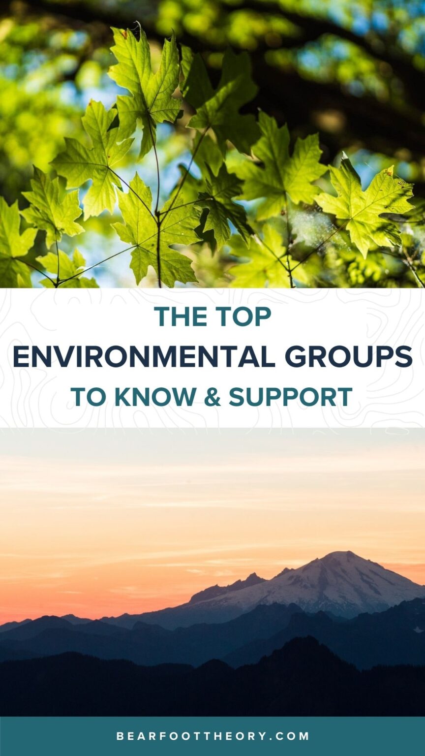 The Top Environmental Groups You Should Know – Bearfoot Theory