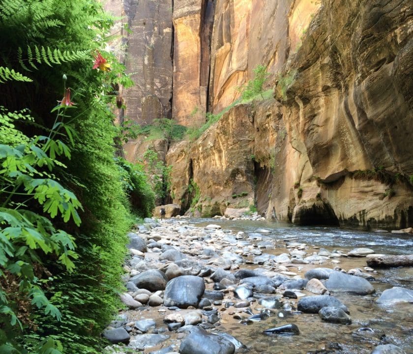 Hiking the Zion Narrows: A Complete Guide – Bearfoot Theory