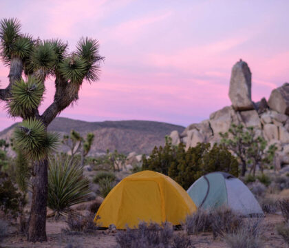 Desert Backpacking Tips, Gear, & Safety – Bearfoot Theory