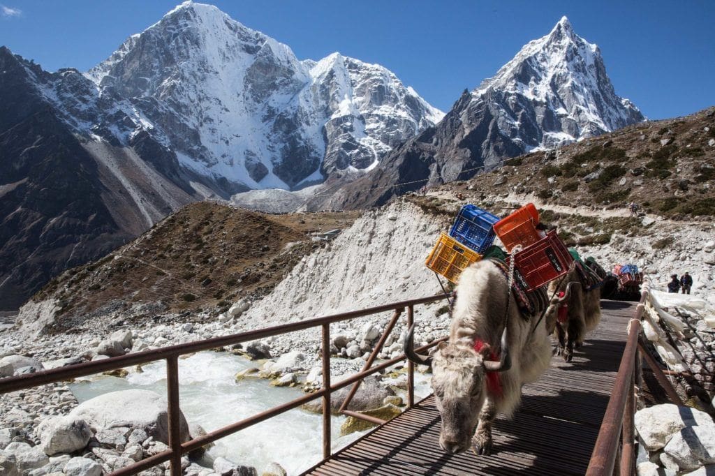Planning your Everest Base Camp Trek: The Ultimate Logistics Guide ...