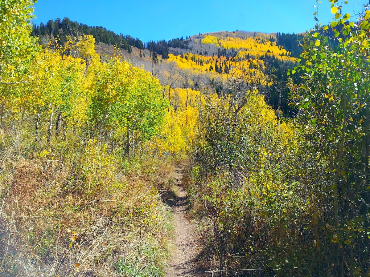 12 Best Hikes Near Salt Lake City – Bearfoot Theory