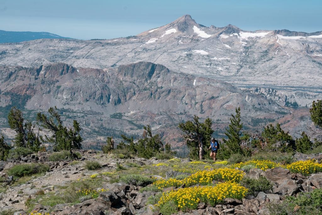 Trail Guide: Hiking Mt. Tallac in South Lake Tahoe – Bearfoot Theory