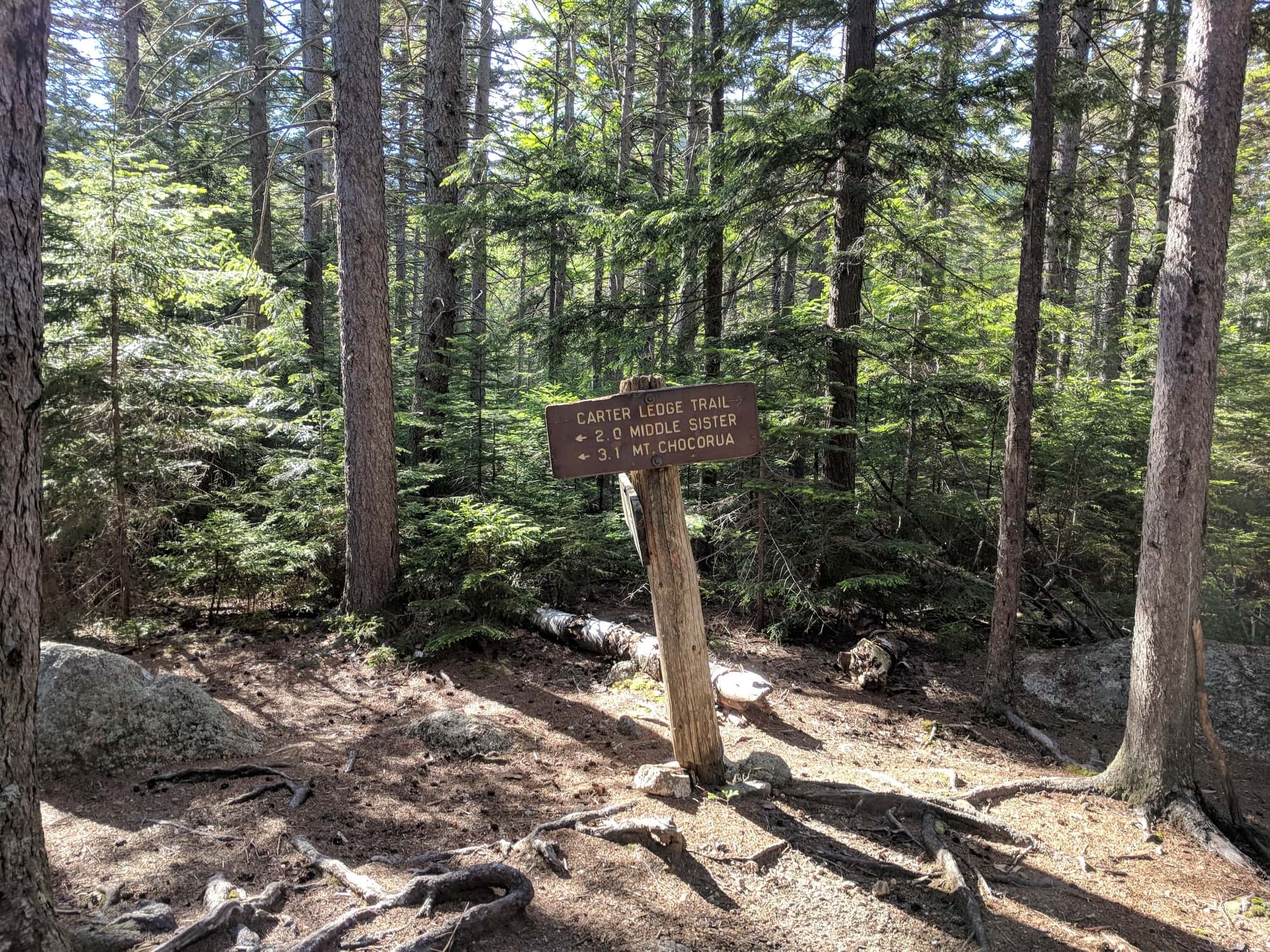 Backpacking the Carter Ledge Loop in New Hampshire – Bearfoot Theory