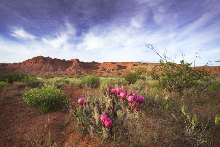 Best Time to Visit Utah National Parks – Bearfoot Theory