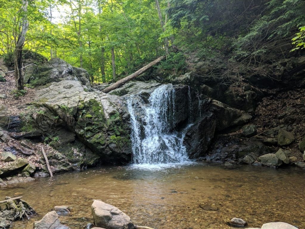 7 Best Hikes in Maryland (According to a Local) – Bearfoot Theory