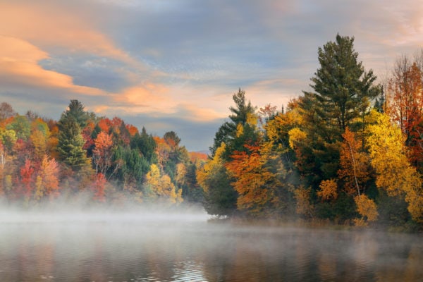 10 Best Places to See Fall Foliage in Vermont – Bearfoot Theory