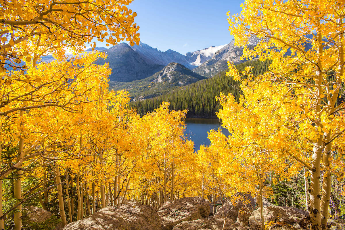 Ultimate 4-Day Colorado Fall Foliage Road Trip Itinerary – Bearfoot Theory