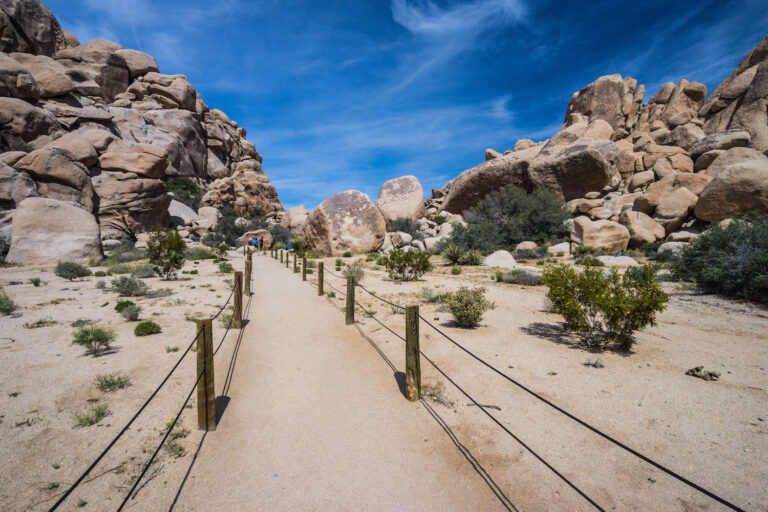 Best Joshua Tree Hikes for First-Time Visitors
