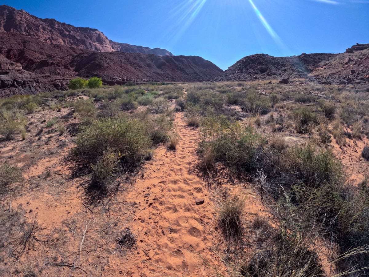 Paria Canyon Backpacking Guide – Bearfoot Theory