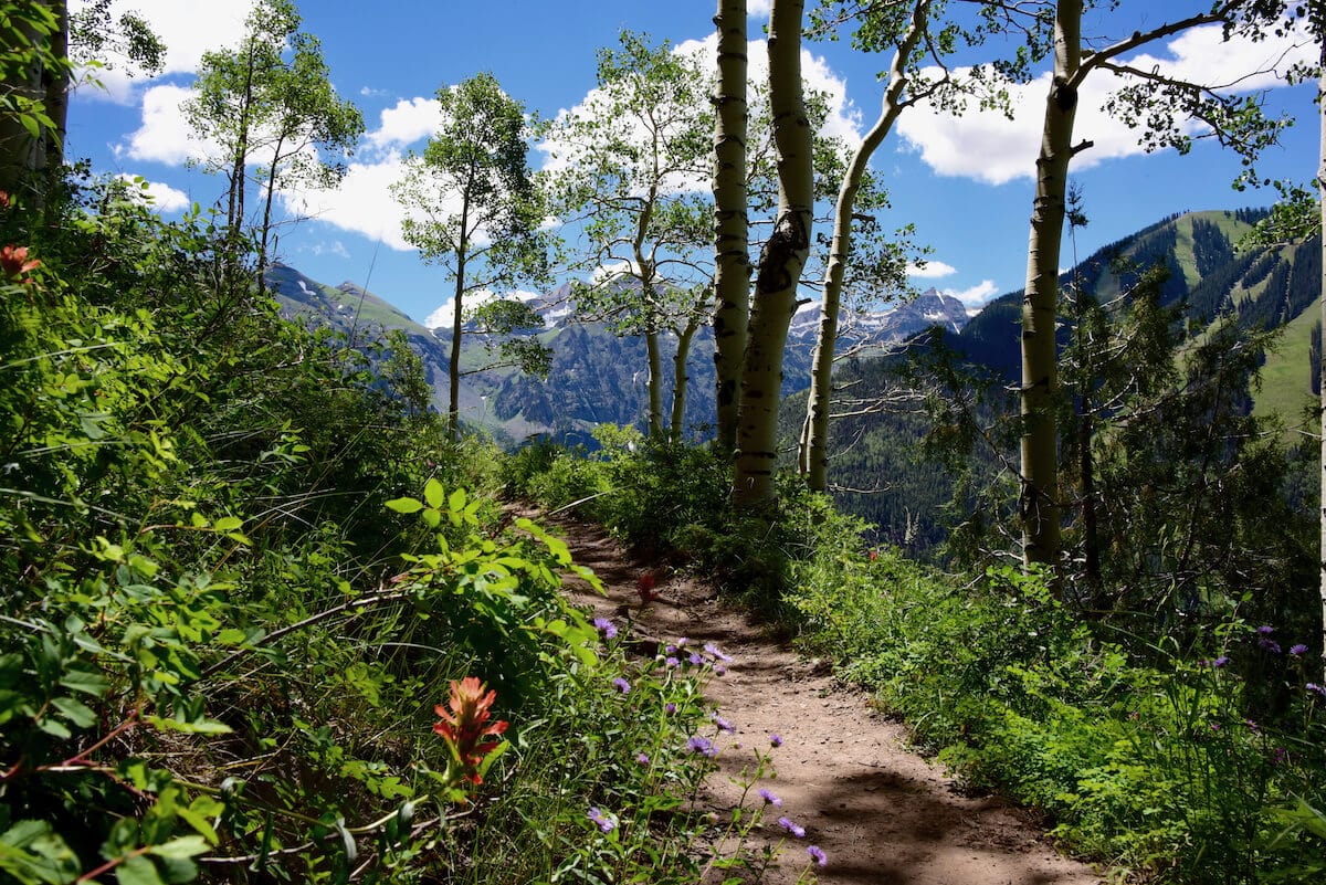 7 Best Telluride Hikes for Lakes, Waterfalls, & Views – Bearfoot Theory