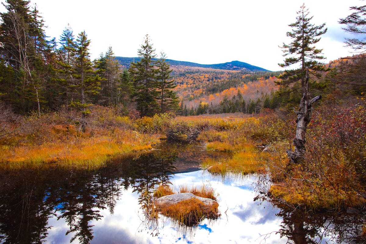 8 Best New Hampshire Hikes for Fall Foliage – Bearfoot Theory