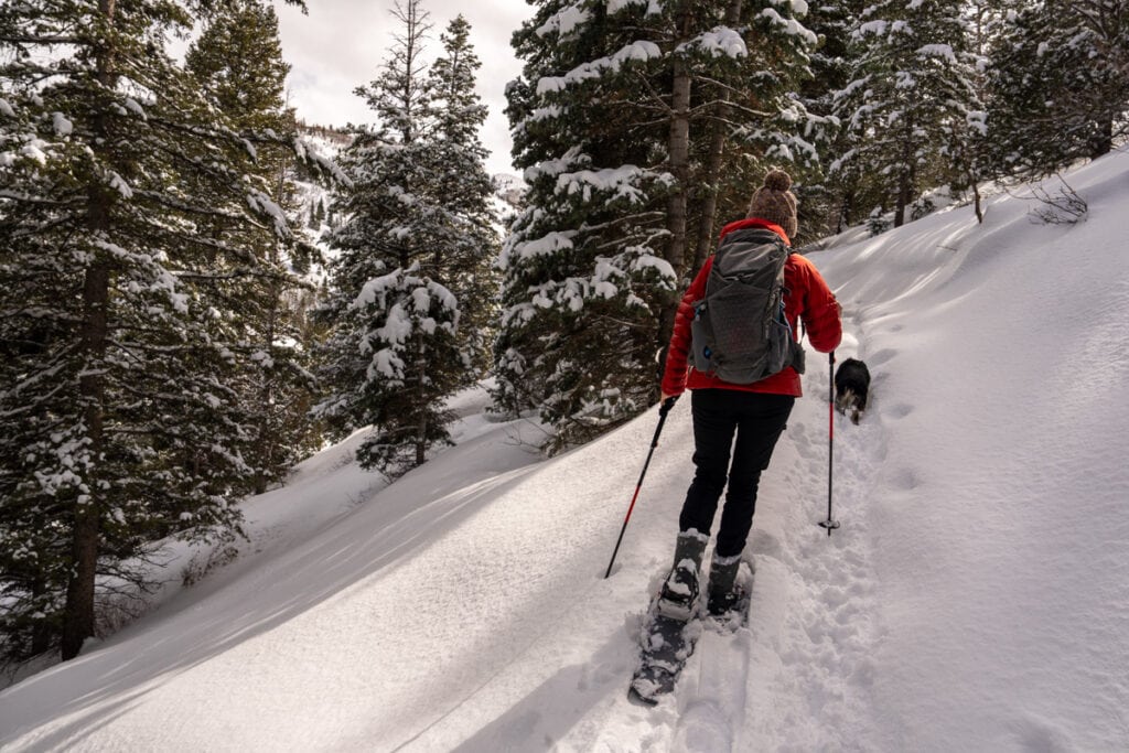 How to Snowshoe: Beginner's Guide – Bearfoot Theory