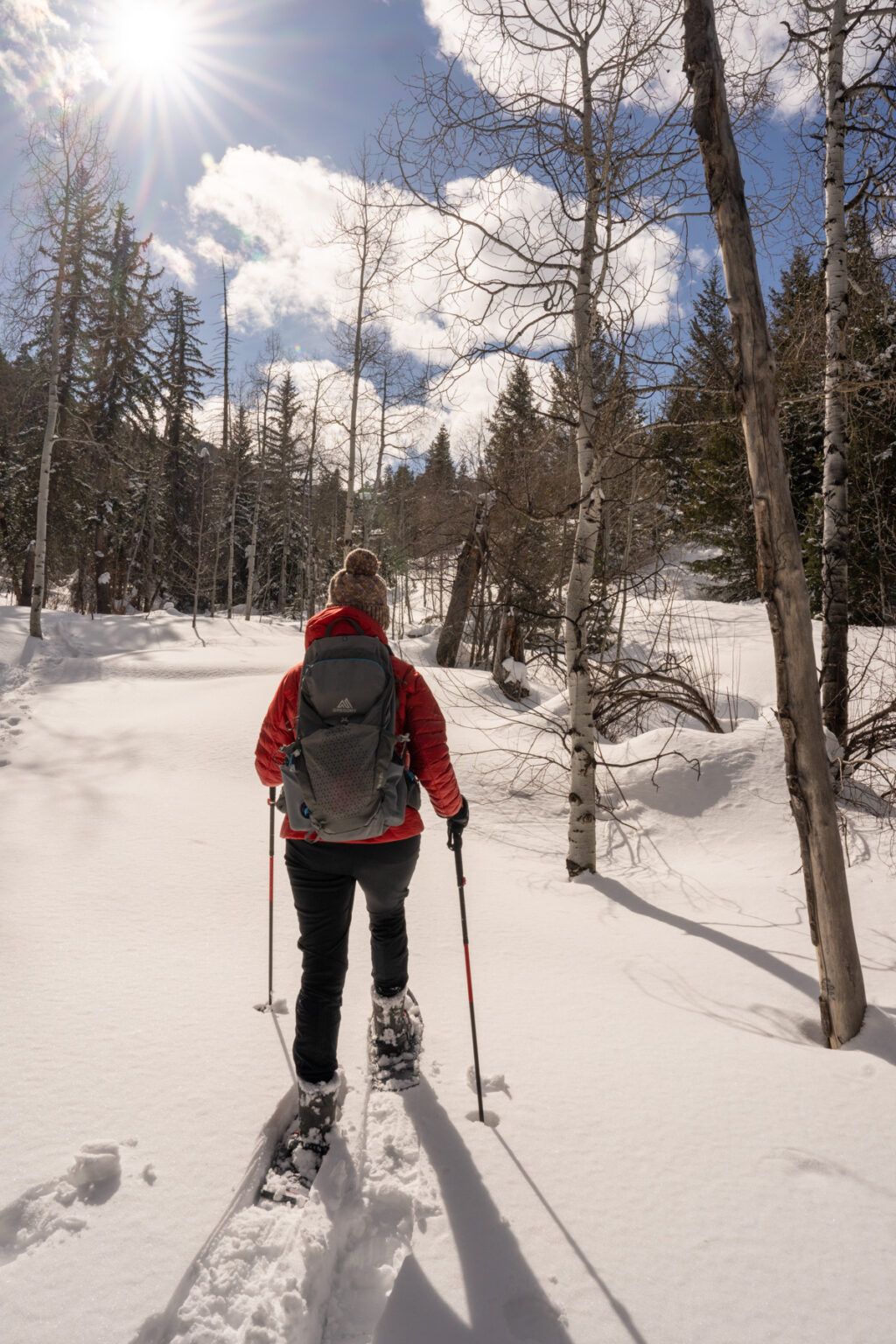 How to Snowshoe: Beginner's Guide – Bearfoot Theory