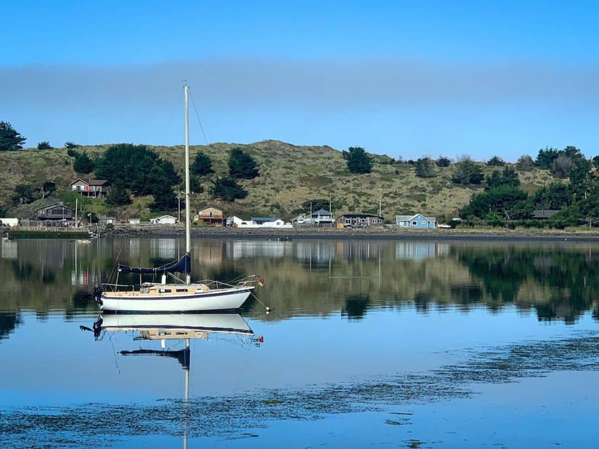 My 5 Go-To Campgrounds in Bodega Bay – Bearfoot Theory