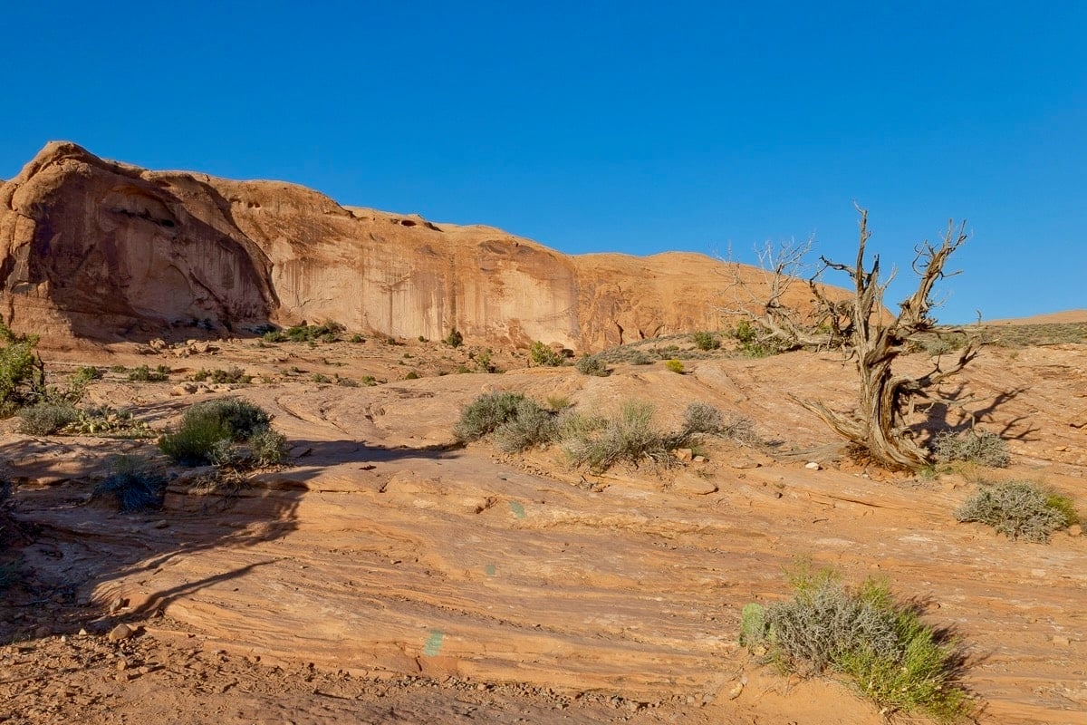 How to Hike the Corona Arch Trail in Moab – Bearfoot Theory