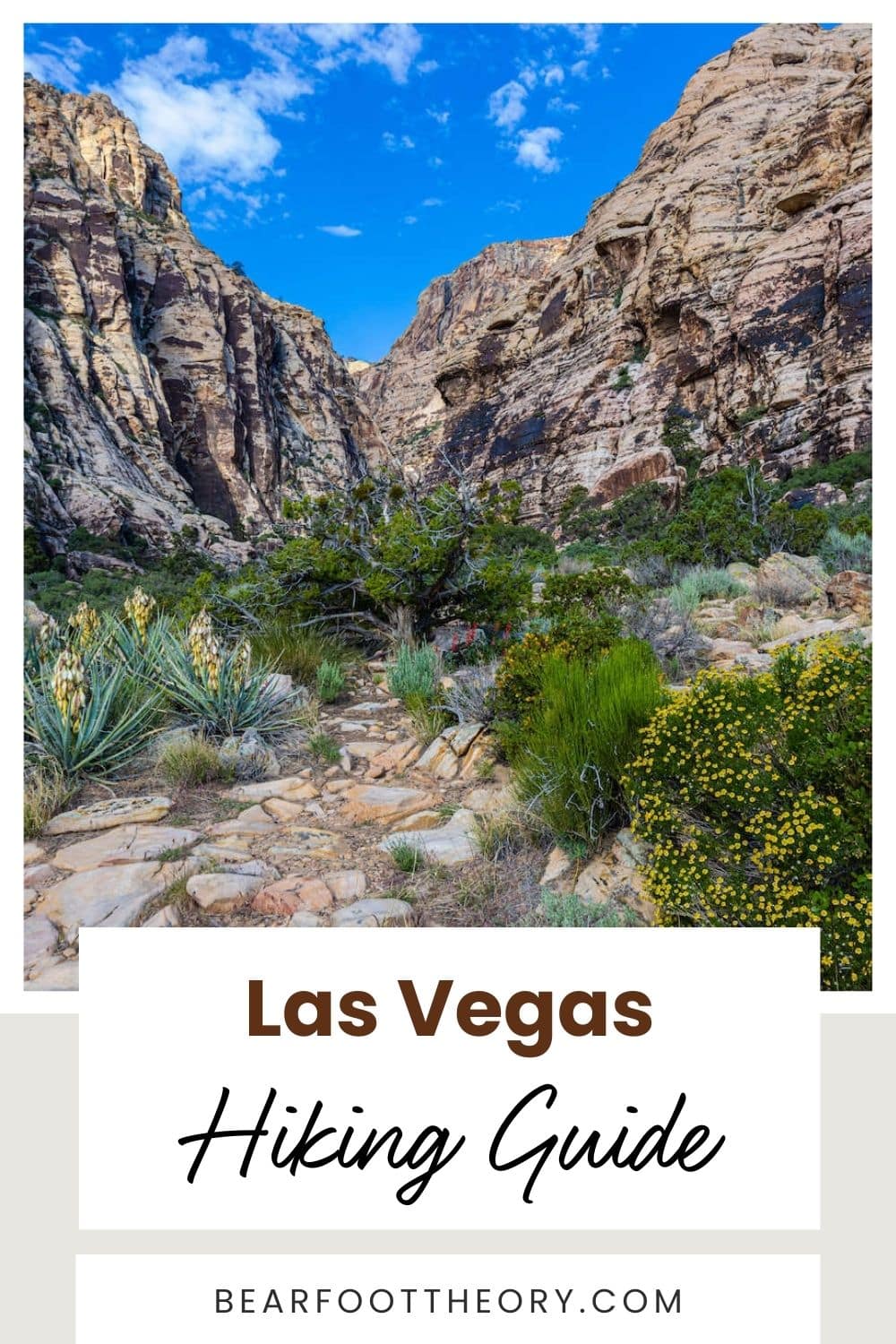 6 Best Las Vegas Hikes within 1 Hour of the Strip