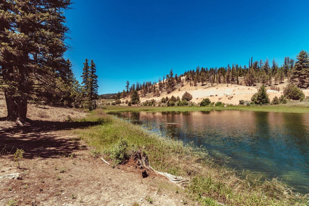 Bryce Canyon National Park - Escape RV Rentals