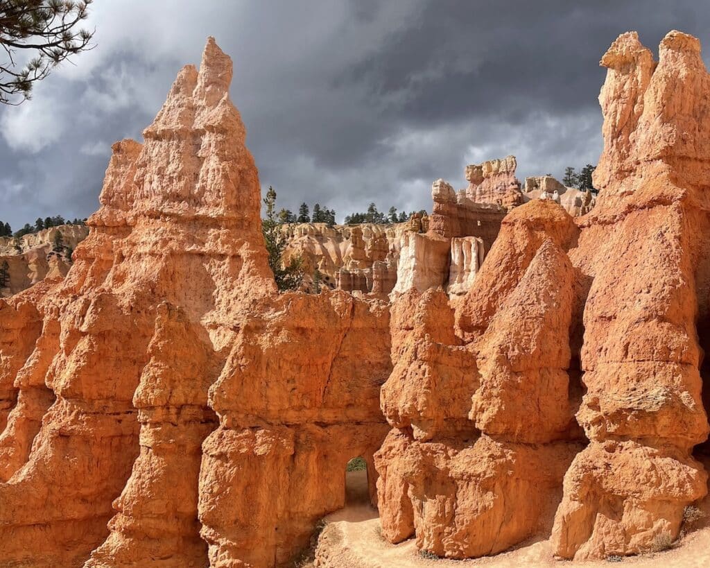 Trail Guide: Navajo Loop and Queens Garden Trail in Bryce Canyon ...