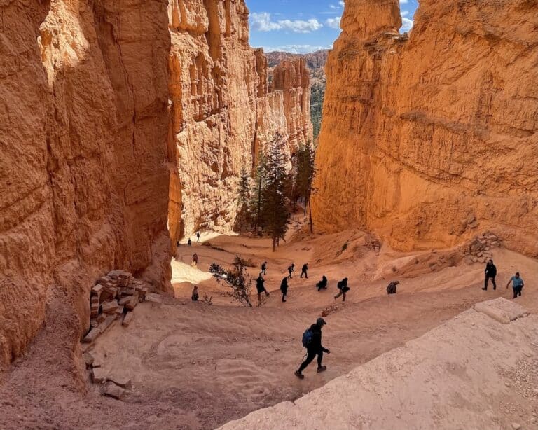 8 Best Hikes in Bryce Canyon National Park – Bearfoot Theory