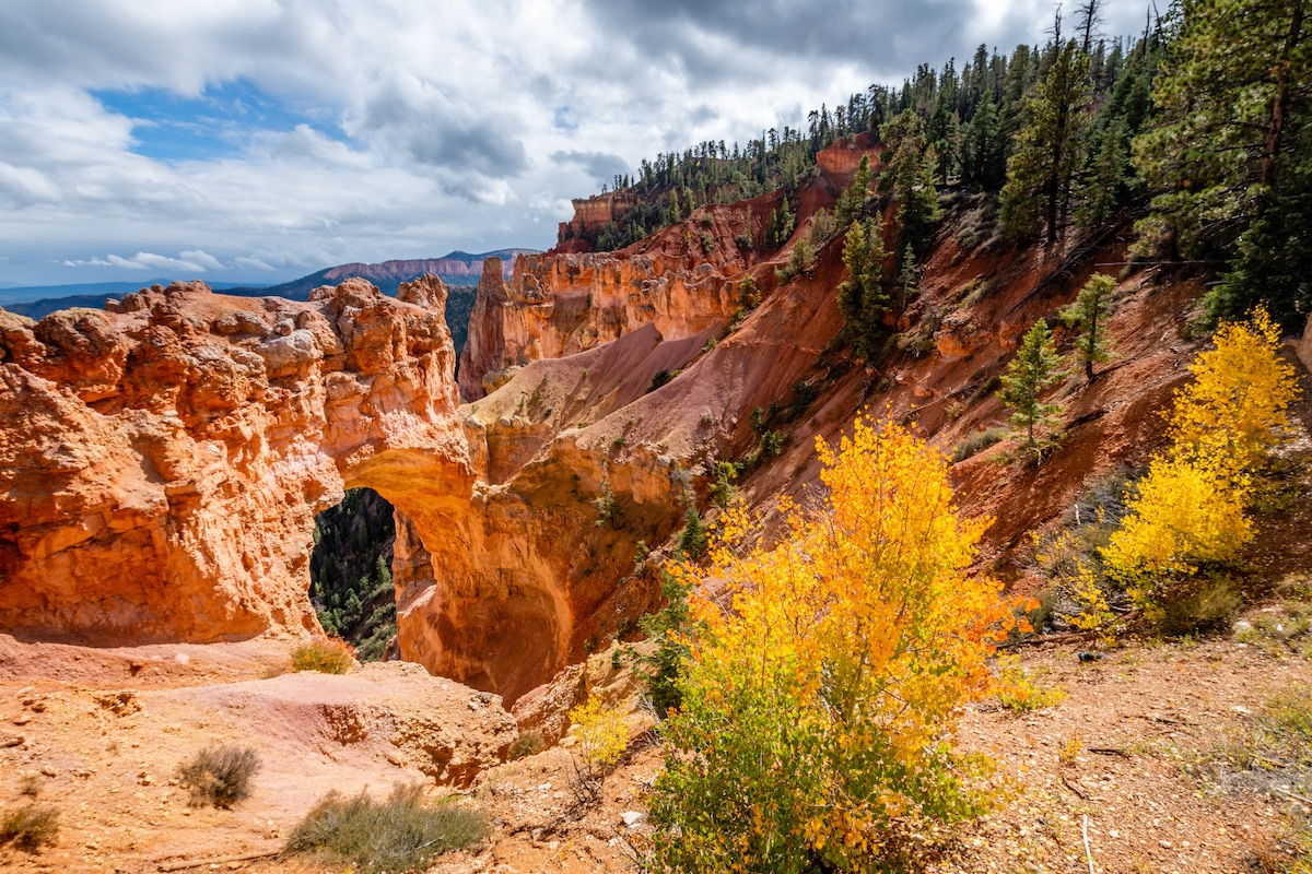 Best Time to Visit Bryce Canyon National Park – Bearfoot Theory