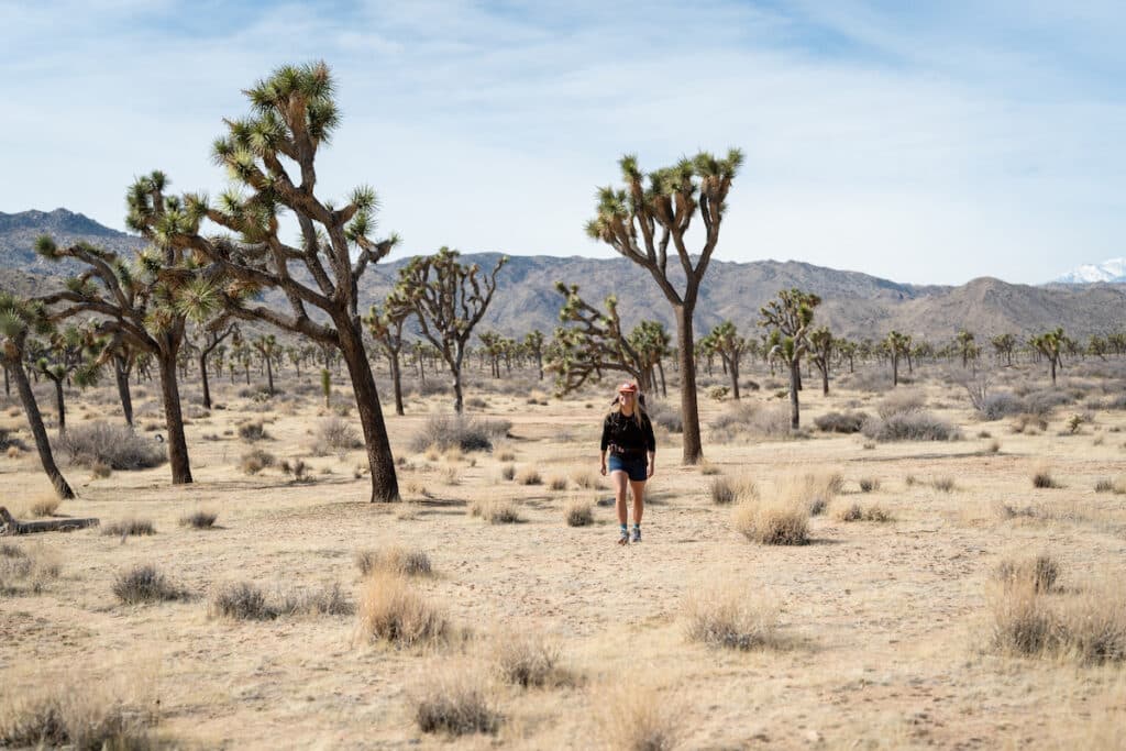 Oboz Cottonwood Hiking Shoe Review – Bearfoot Theory