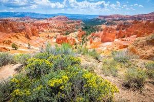 Best Time to Visit Bryce Canyon National Park – Bearfoot Theory