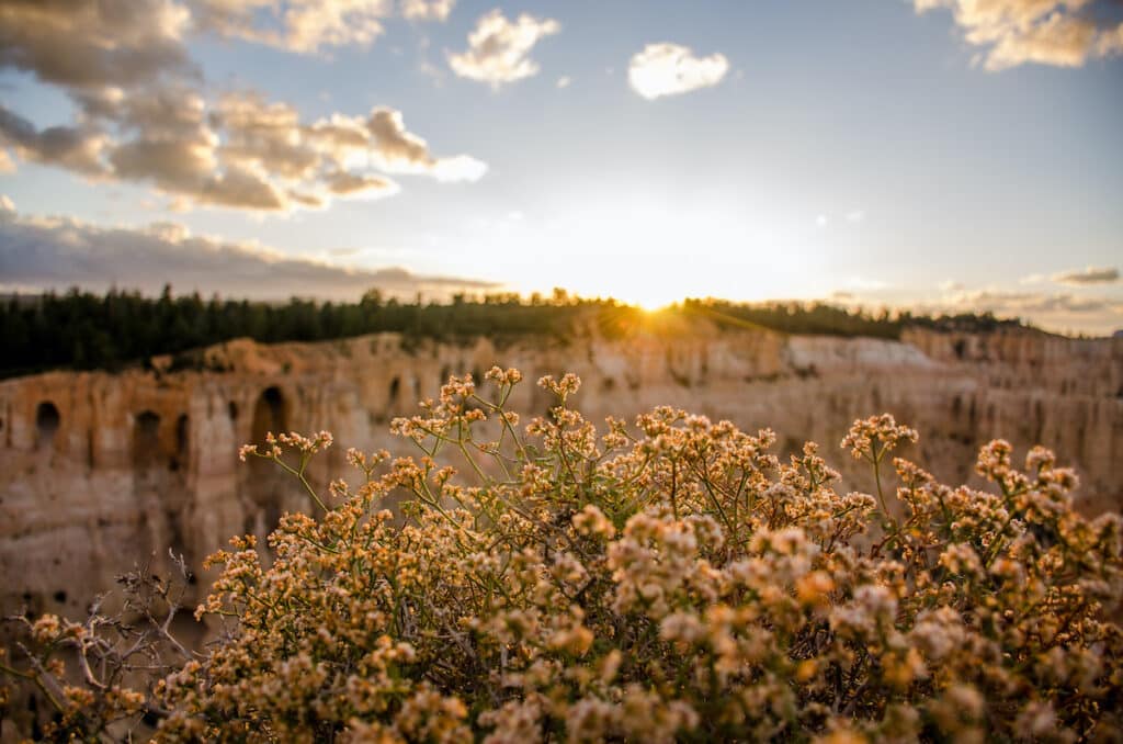 Best Time to Visit Bryce Canyon National Park – Bearfoot Theory