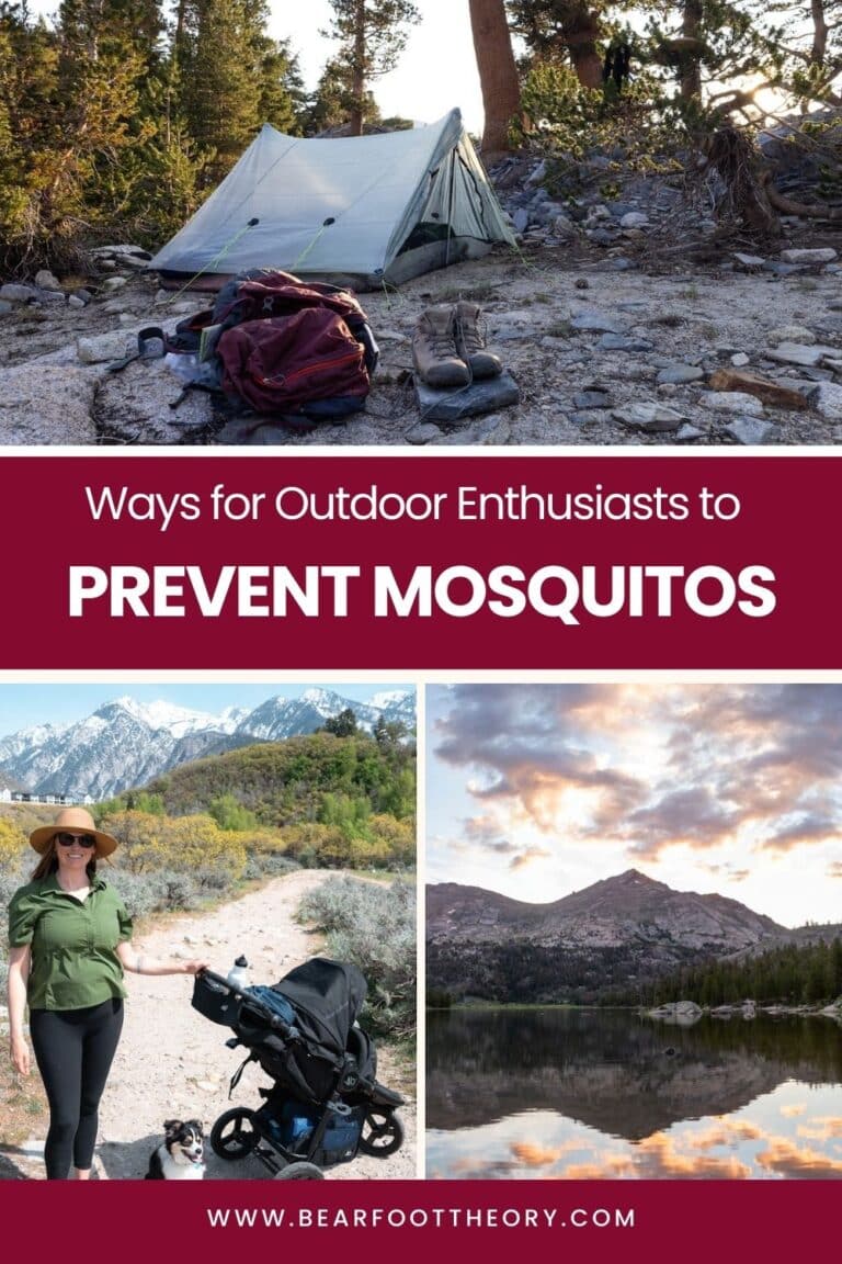 17 Ways to Repel Mosquitos While Hiking and Backpacking – Bearfoot Theory