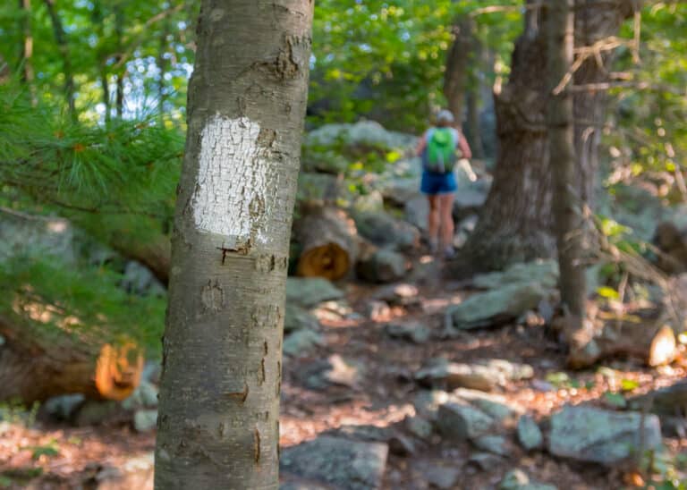 65+ Essential Hiking Terms You Need to Know (A-Z Glossary) – Bearfoot ...