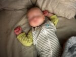Van Life with a Baby: Tips for Taking your Infant on the Road ...
