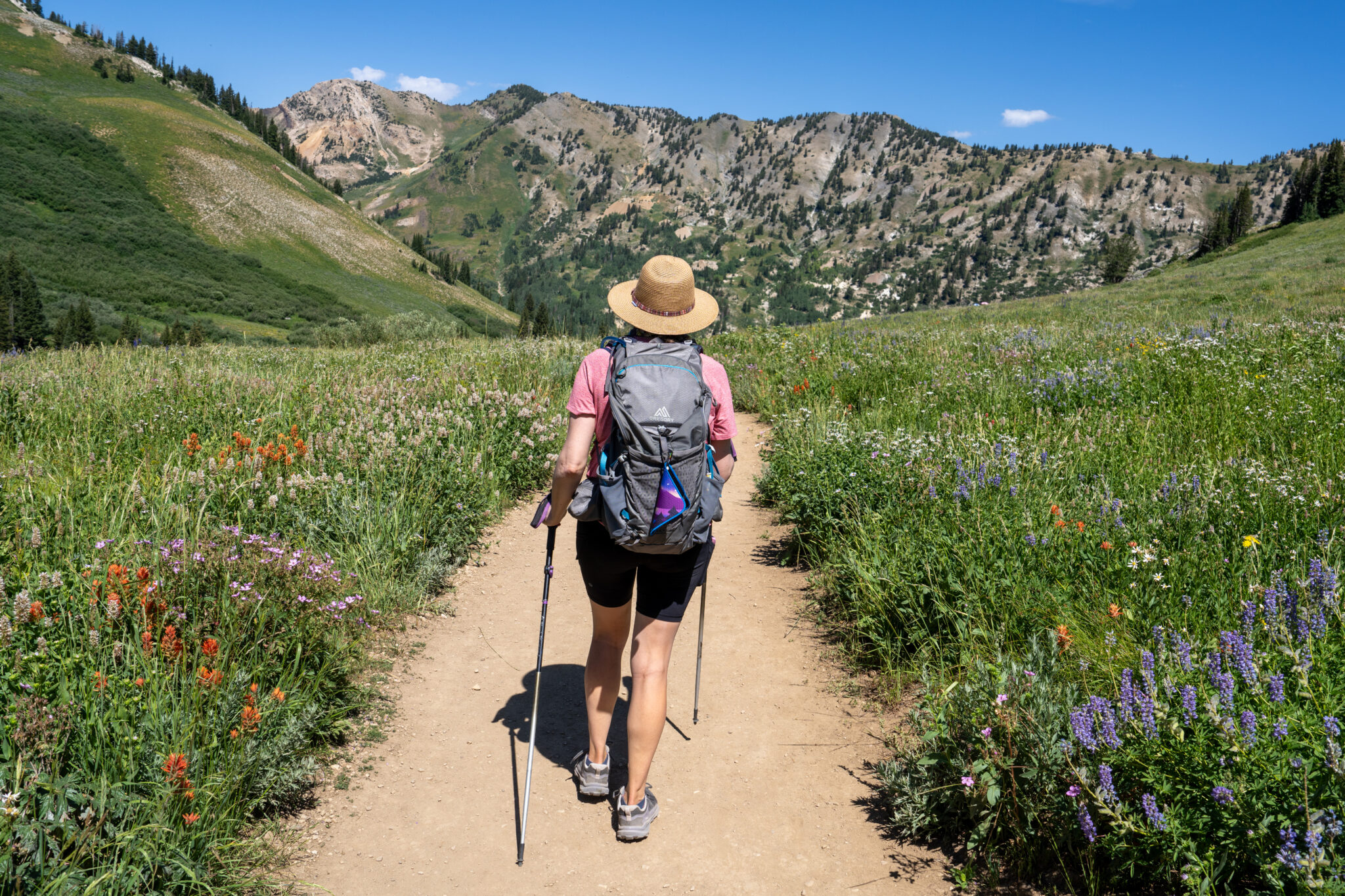Day Hiking Essentials: What I Bring on Every Hike – Bearfoot Theory